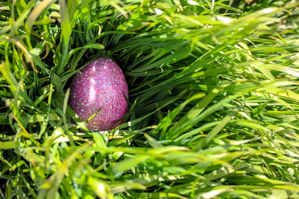 Walker Easter Egg Hunt