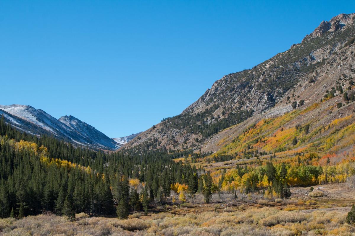 Molybdenite Creek Trail