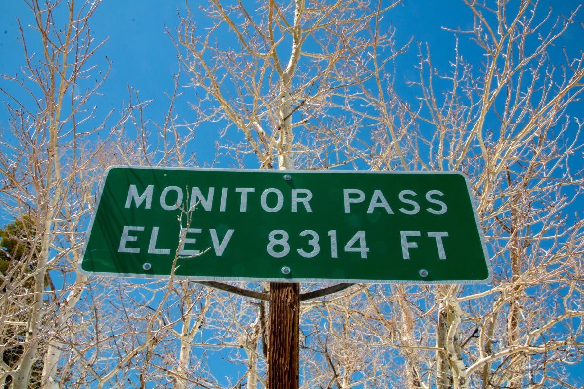 Monitor Pass