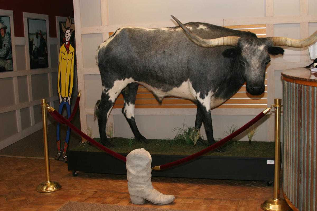 Mann Wildlife Learning Museum | Montgomery, AL