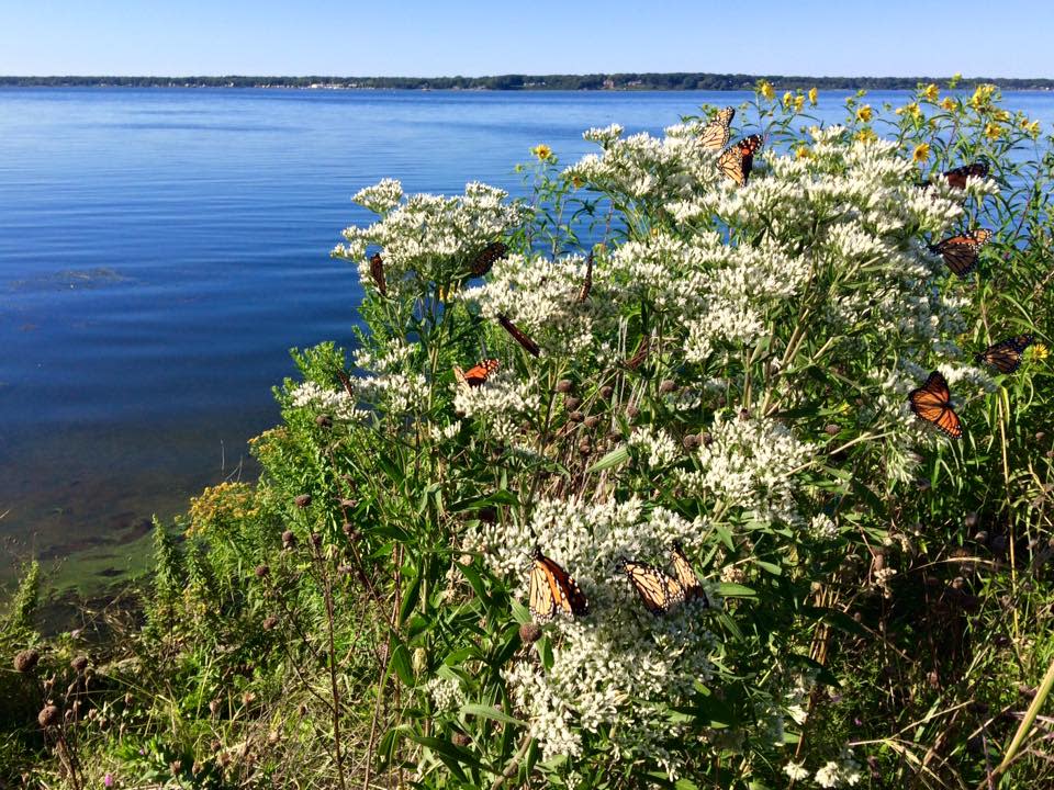 Muskegon Lakeshore Trail
