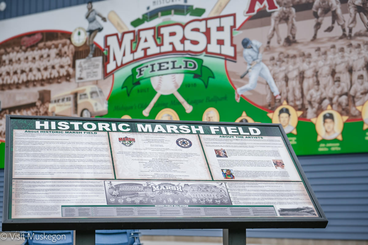 Marsh Field