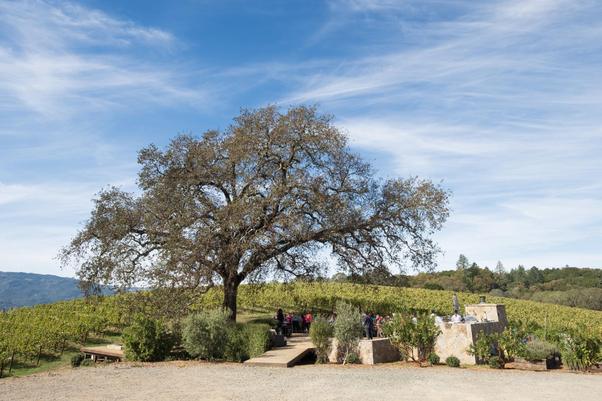 Merryvale Vineyards | St. Helena, CA 94574