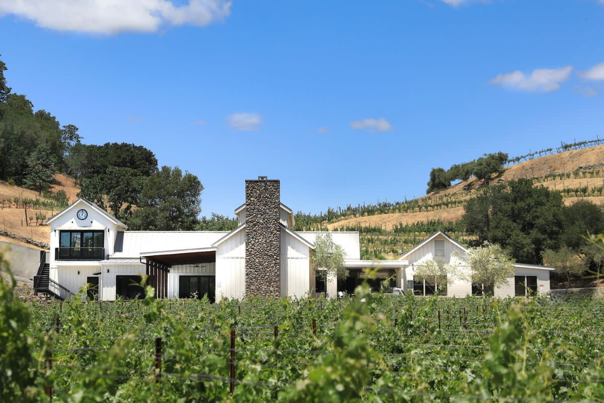 Baldacci Family Vineyards | Napa, CA 94558