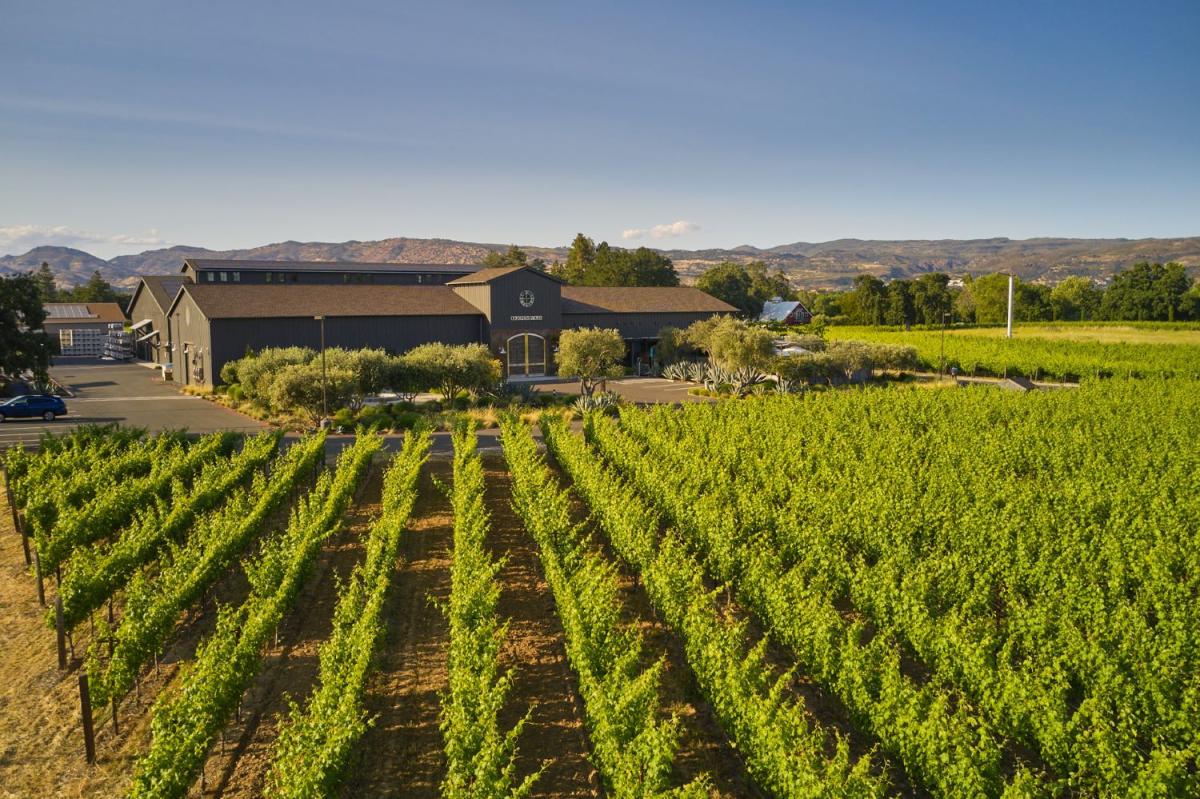 Eleven Eleven Wines | Napa, CA 94558