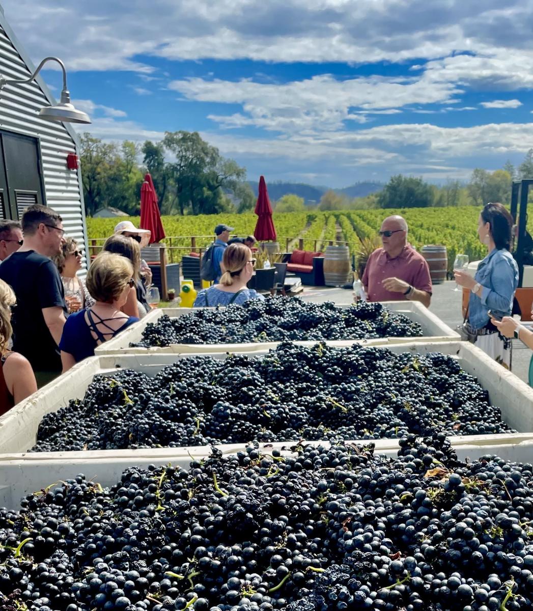 Platypus Wine Tours | Napa, CA 94558