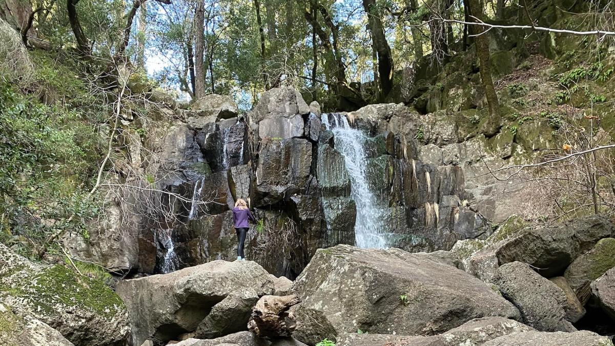Las Posadas State Forest | Angwin, CA 94508