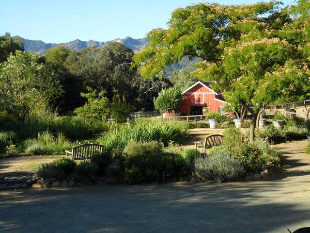 Meadowlark Country House & Resort | Calistoga, CA 94515