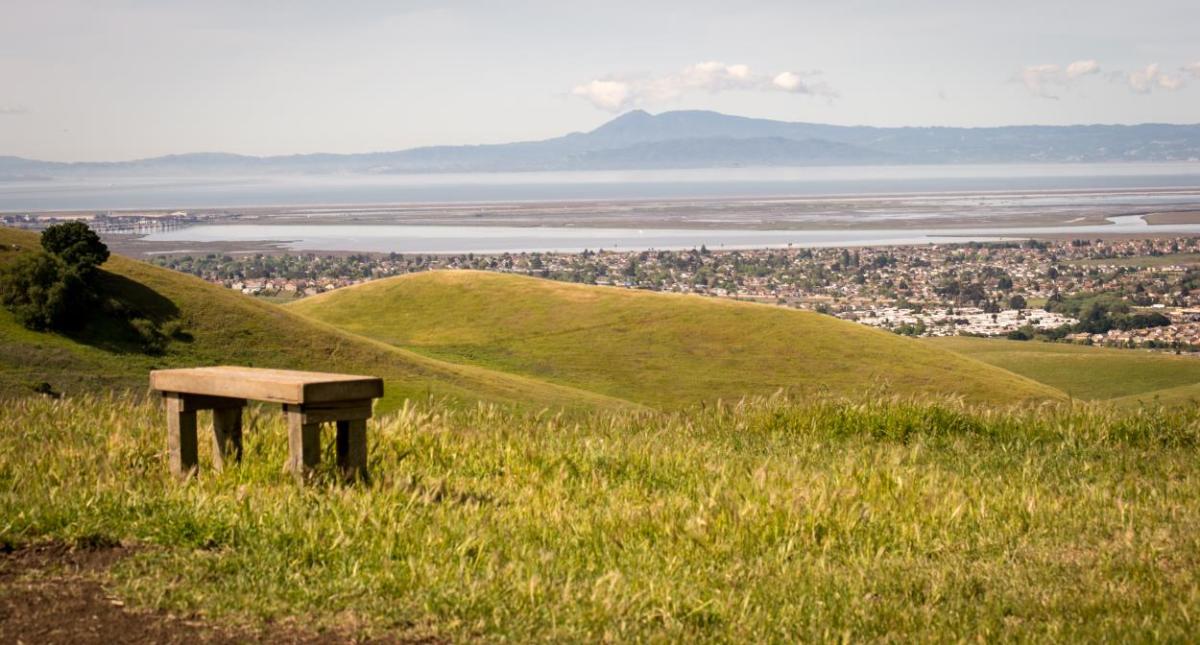Newell Open Space Preserve | American Canyon, CA 94503