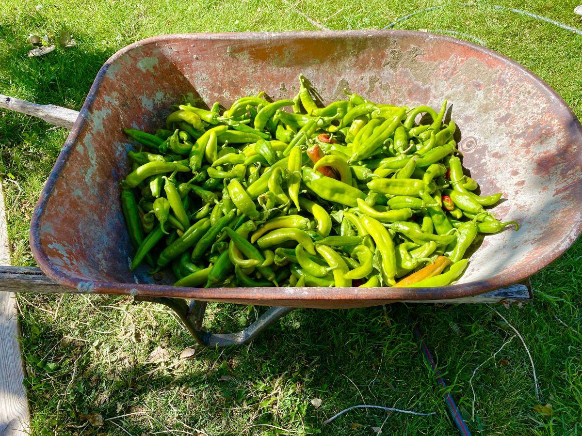 Chile Line Foods | Espanola, NM 87533