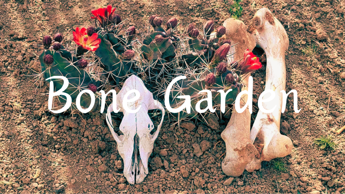 Bone Garden | Tularosa, NM 88352