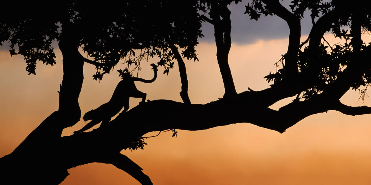 Edition ONE Gallery | Santa Fe, NM 87501