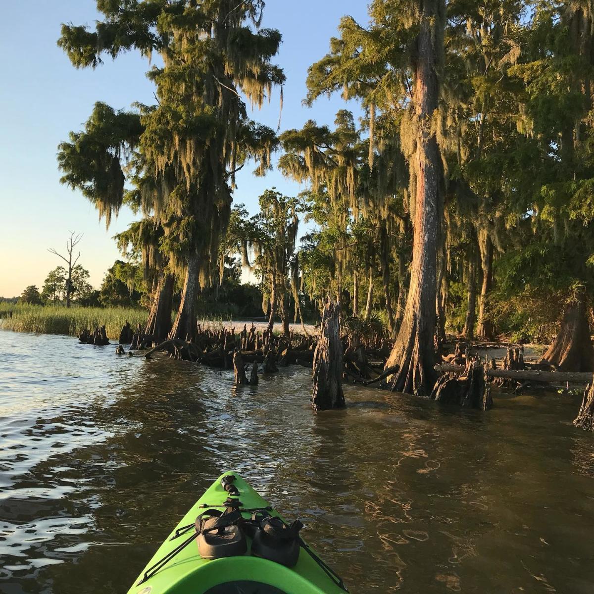 Bayou Adventure