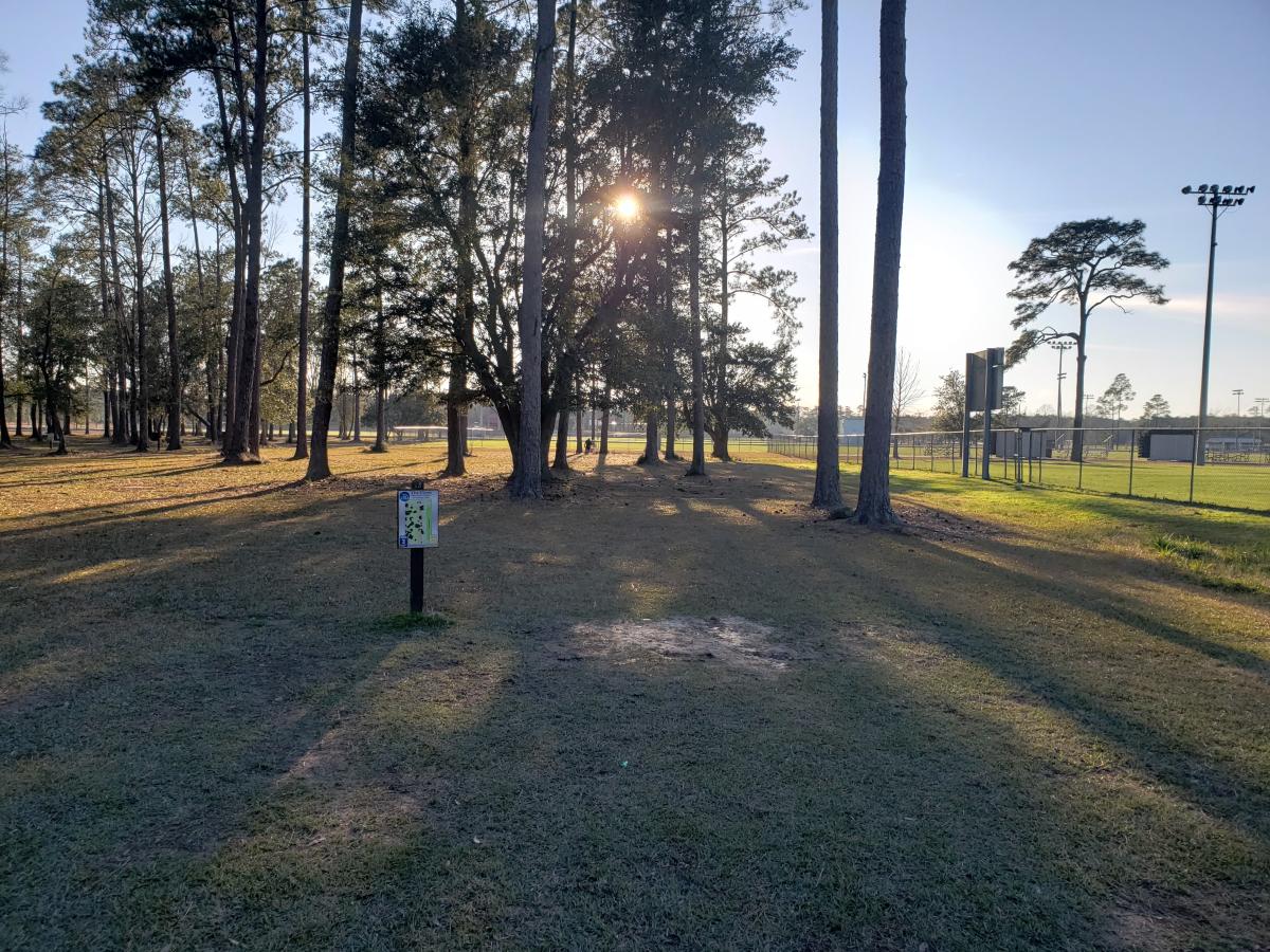 The Pines - Pelican Park Disc Golf Course