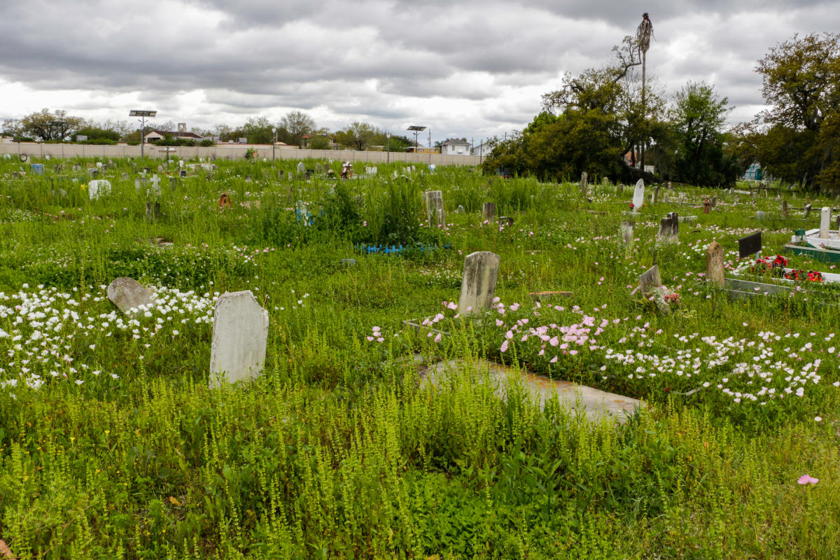 Holt Cemetery