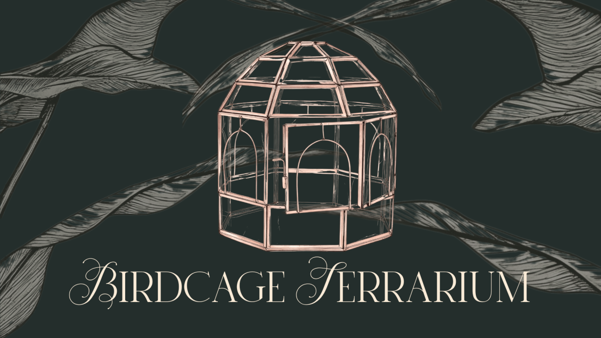 Birdcage Terrarium Workshop