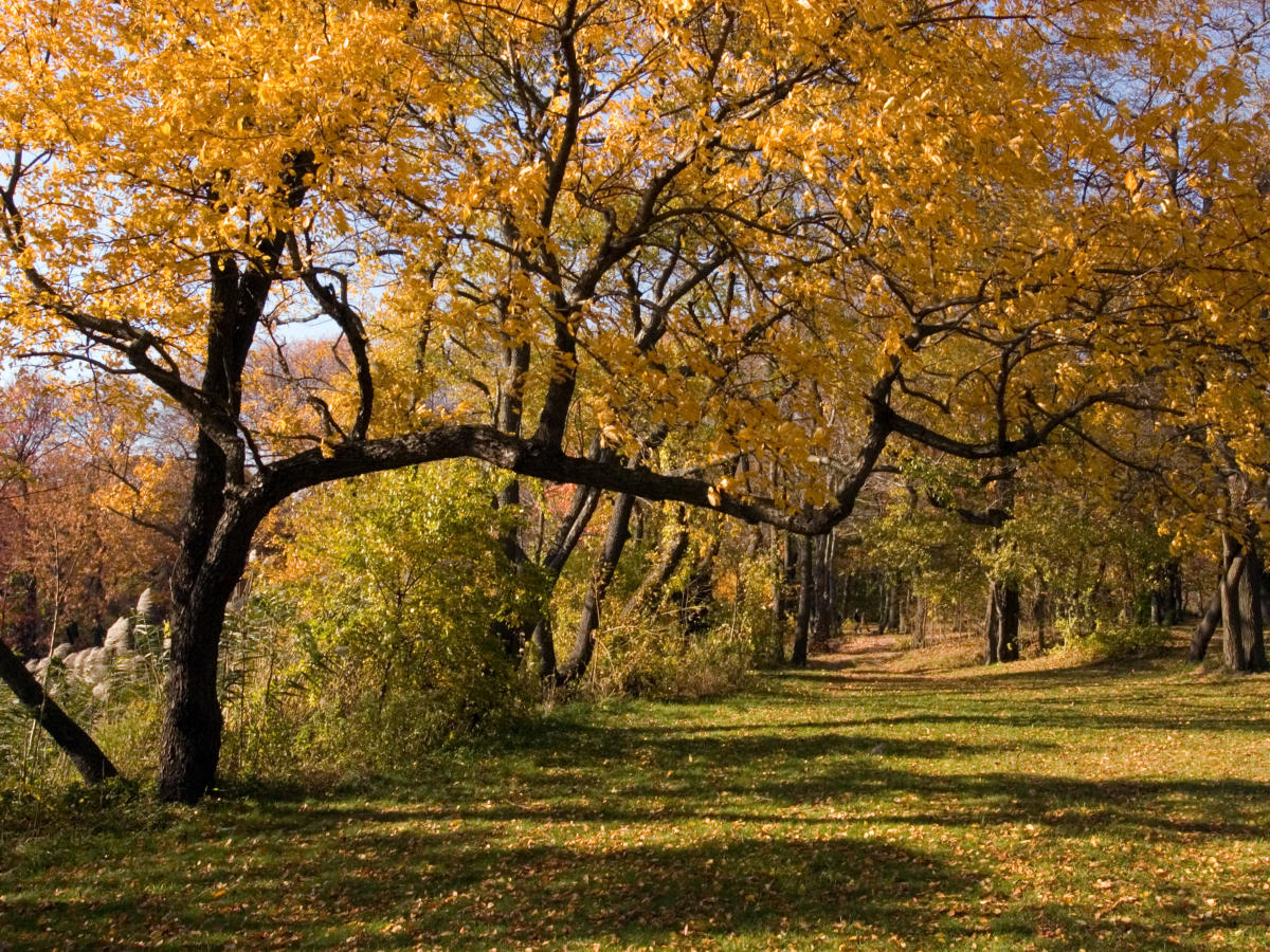 Hempstead Lake State Park | West Hempstead, NY 11552