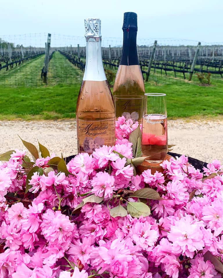 Mattebella Vineyards | Southold, NY 11971