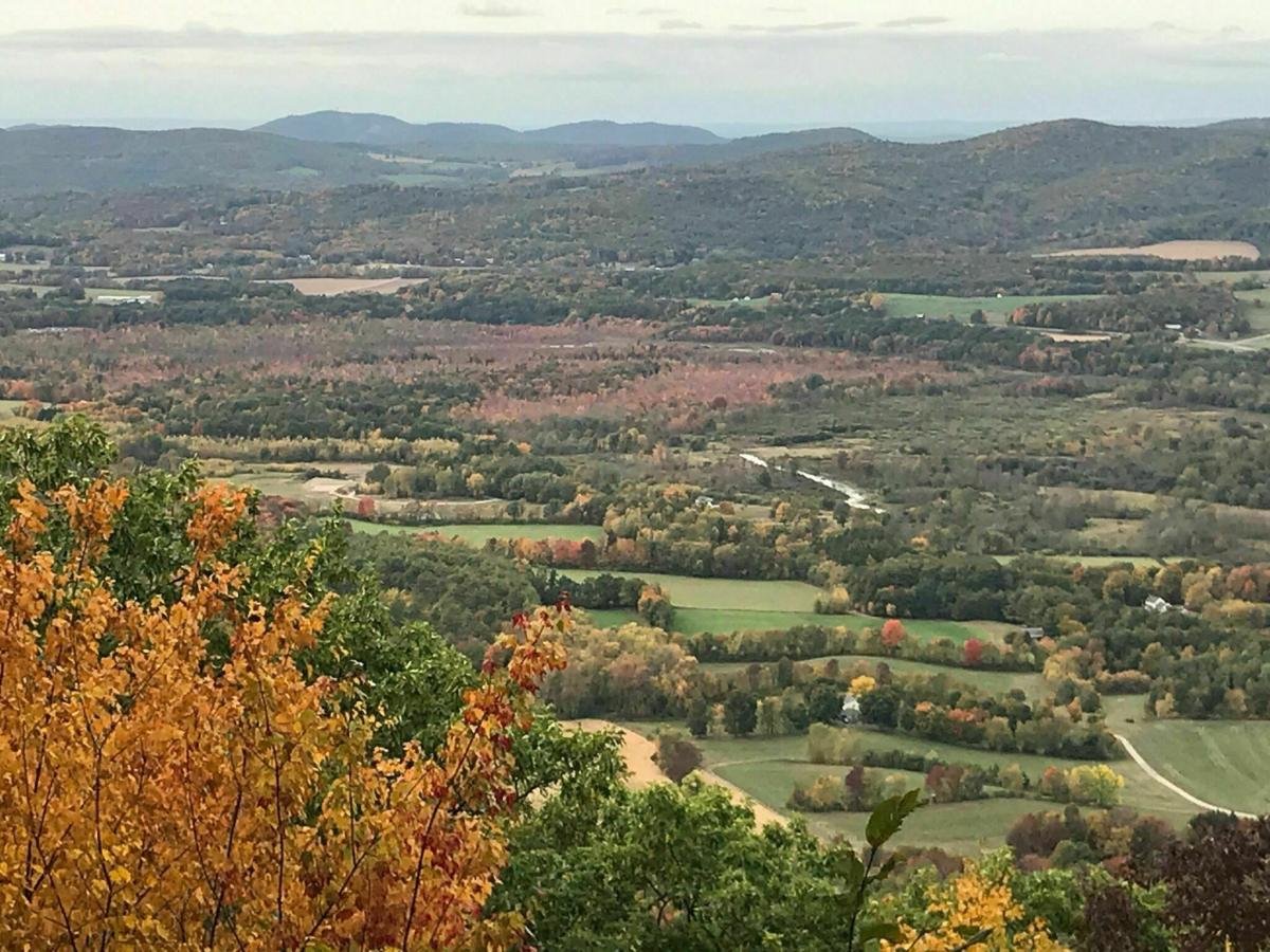 Battenkill State Forest | Jackson, NY 12816