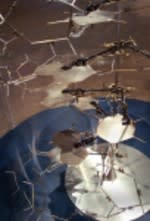 DNA Learning Center | Cold Spring Harbor, NY 11724