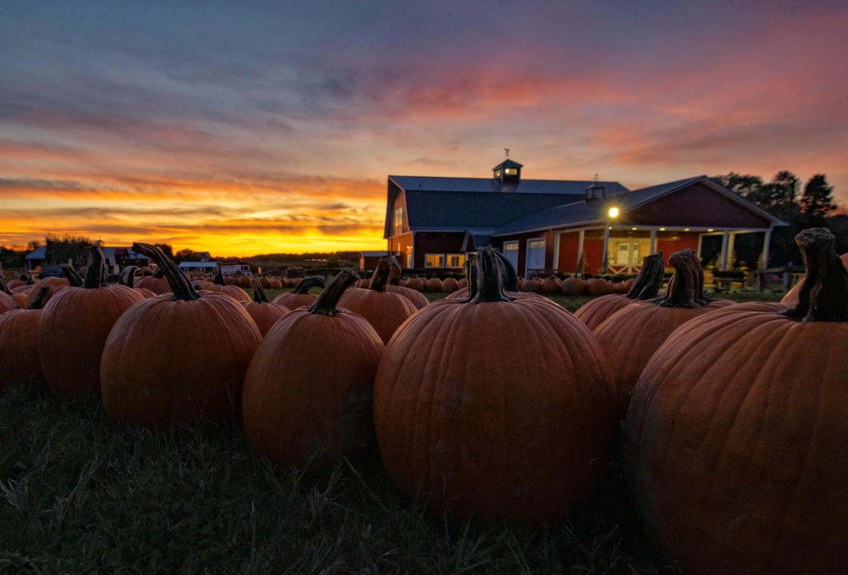 Wickham Farms | Penfield, NY 14526