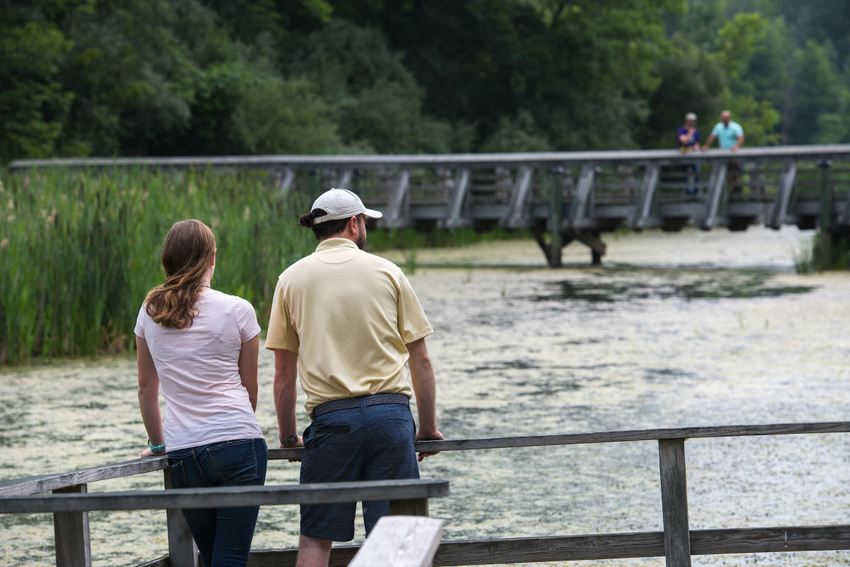 Five Rivers Environmental Education Center | Delmar, NY 12054