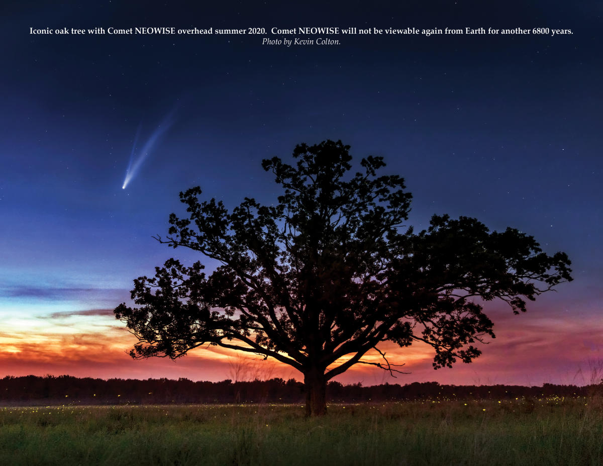 Seneca Meadows Wetlands Preserve | Seneca Falls, NY 13148