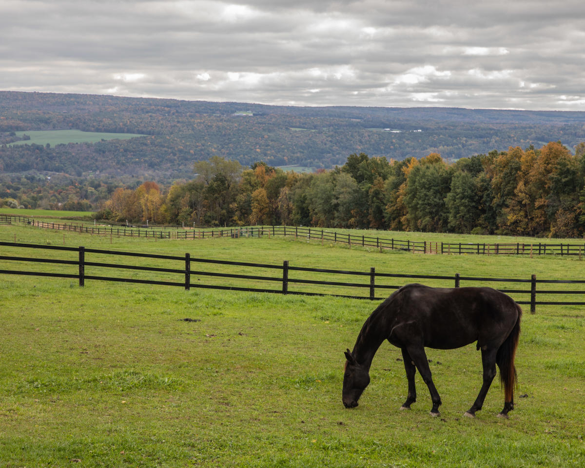 Letchworth Farm