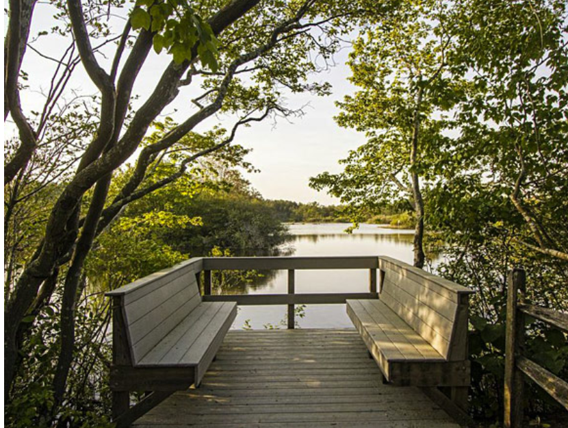 Quogue Wildlife Refuge | Quogue, NY 11959
