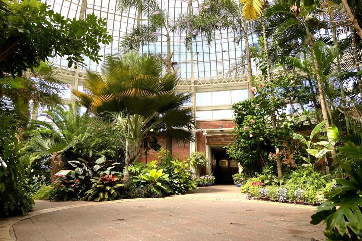 Sensory Hour at the Botanical Gardens | Buffalo, NY 14218