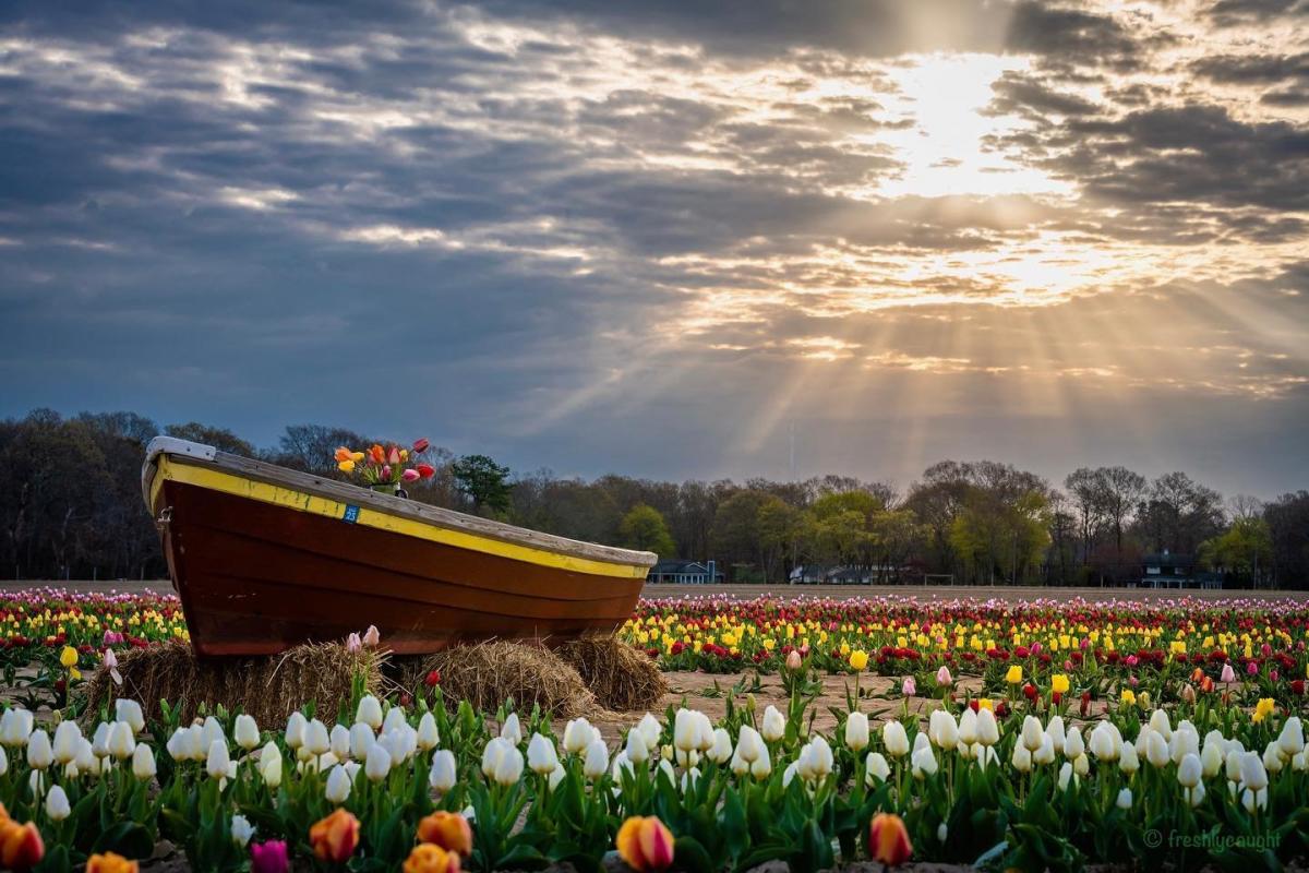 Waterdrinker Family Farm & Garden | Manorville, NY 11949