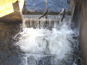 NYS DEC Salmon River Fish Hatchery | Altmar, NY 13302