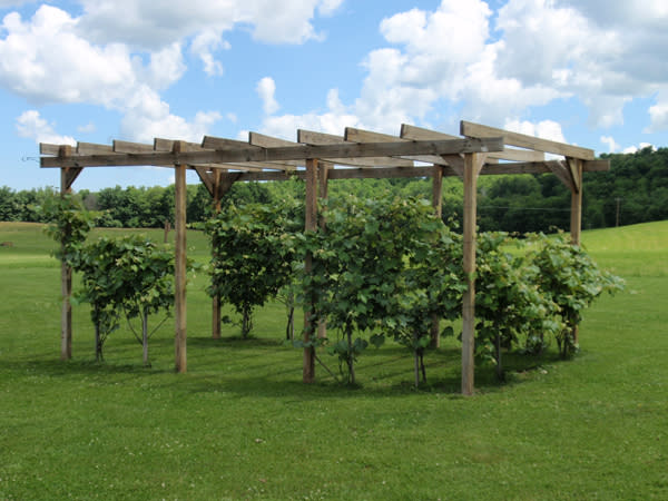 Rustic Ridge Winery | Burlington Flats, NY 13315