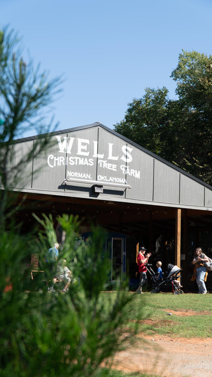 Wells Christmas Tree Farm