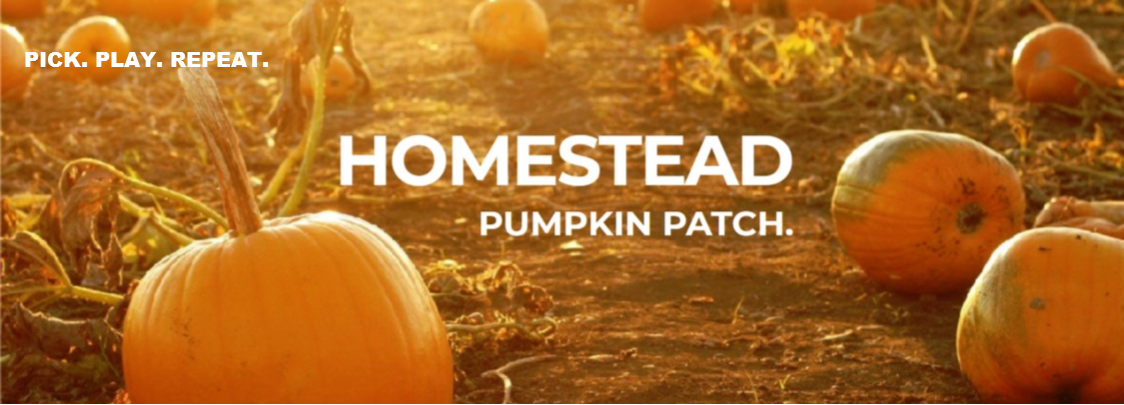 Homestead Pumpkin Patch