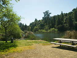 Temescal Regional Recreation Area | Oakland, CA