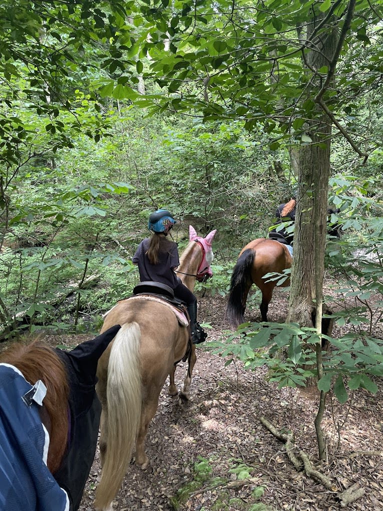 Holly Ridge Equestrian Center, LLC