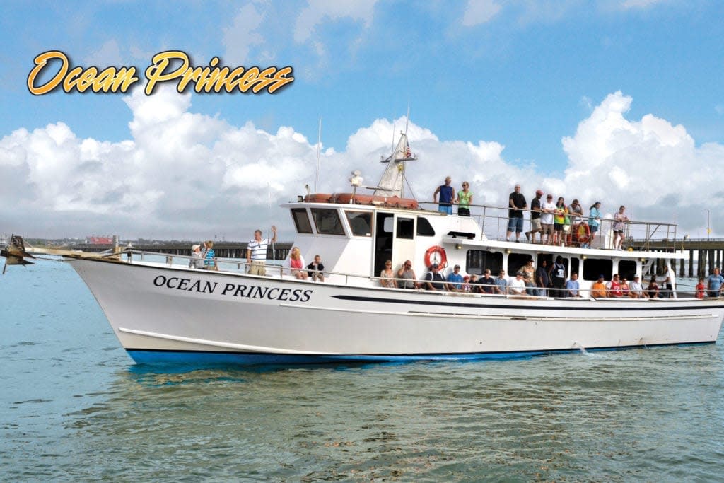 Ocean Princess, Inc.