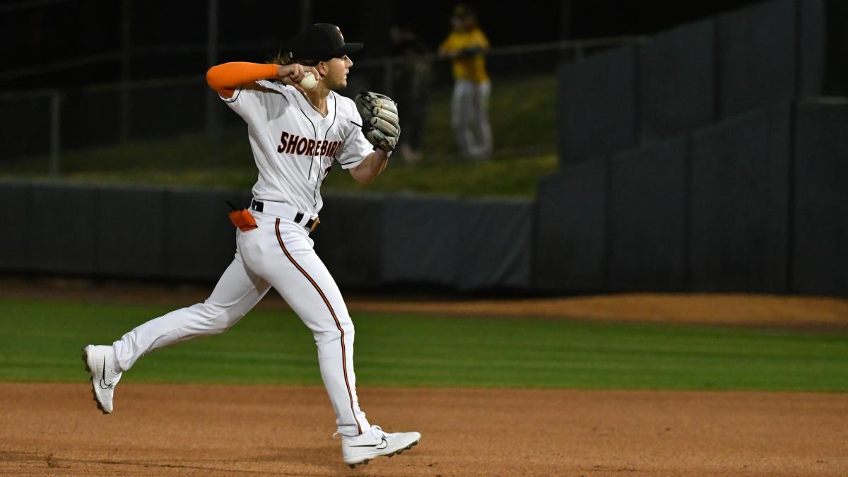 Delmarva Shorebirds Baseball Club
