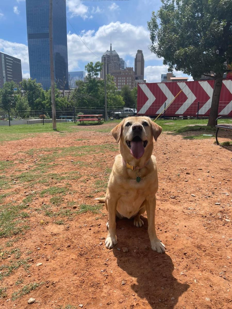Deep Deuce Dog Park | Oklahoma City, OK