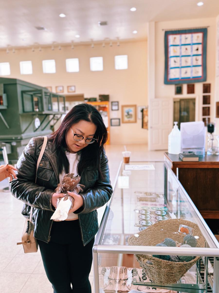 The American Pigeon Museum & Library | Oklahoma City, OK