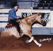 National Reining Horse Association | Oklahoma City, OK