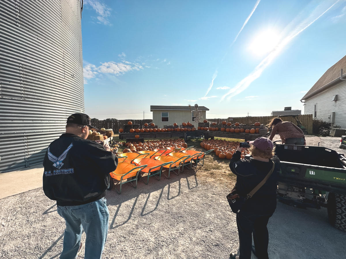 Skinny Bones Pumpkin Patch