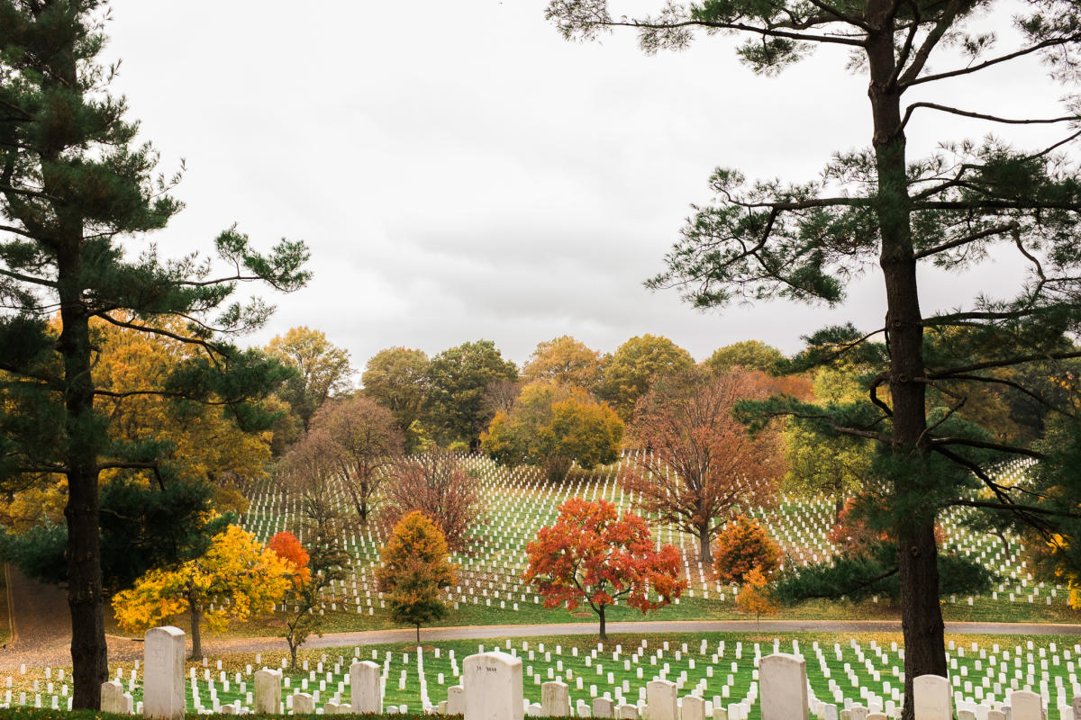 Geoff Johnson Photography & Motion