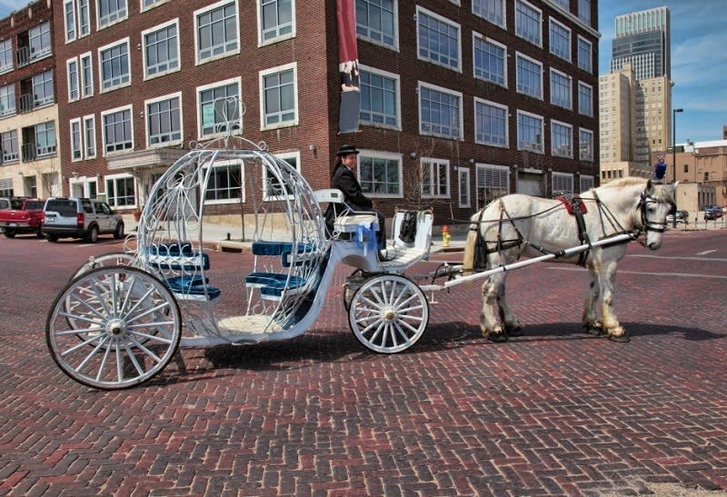 Magical Journeys Carriage Services