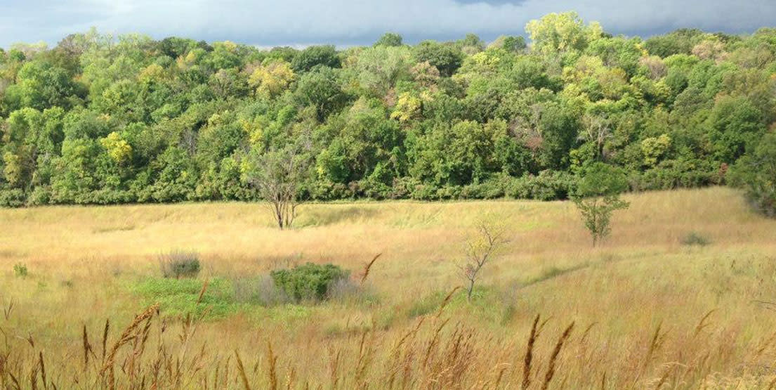Neale Woods Nature Reserve