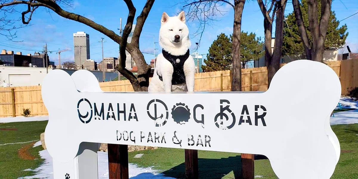 Omaha Dog Bar