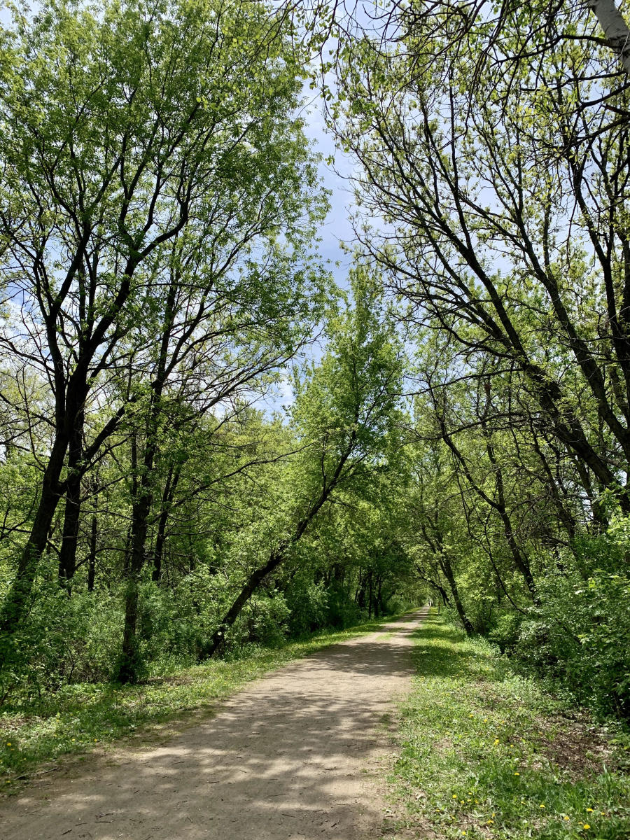 Wiouwash State Trail