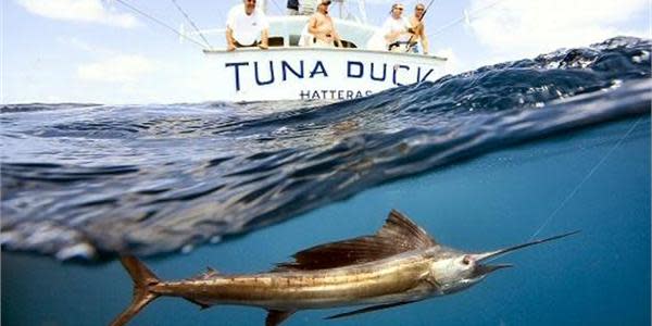 Tuna Duck Sportfishing