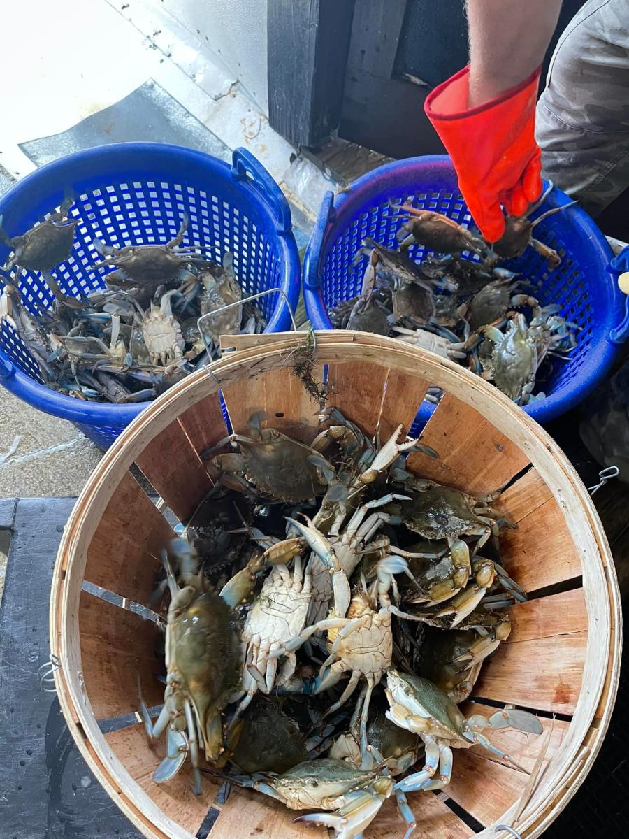 Carawan Seafood Company, Inc.